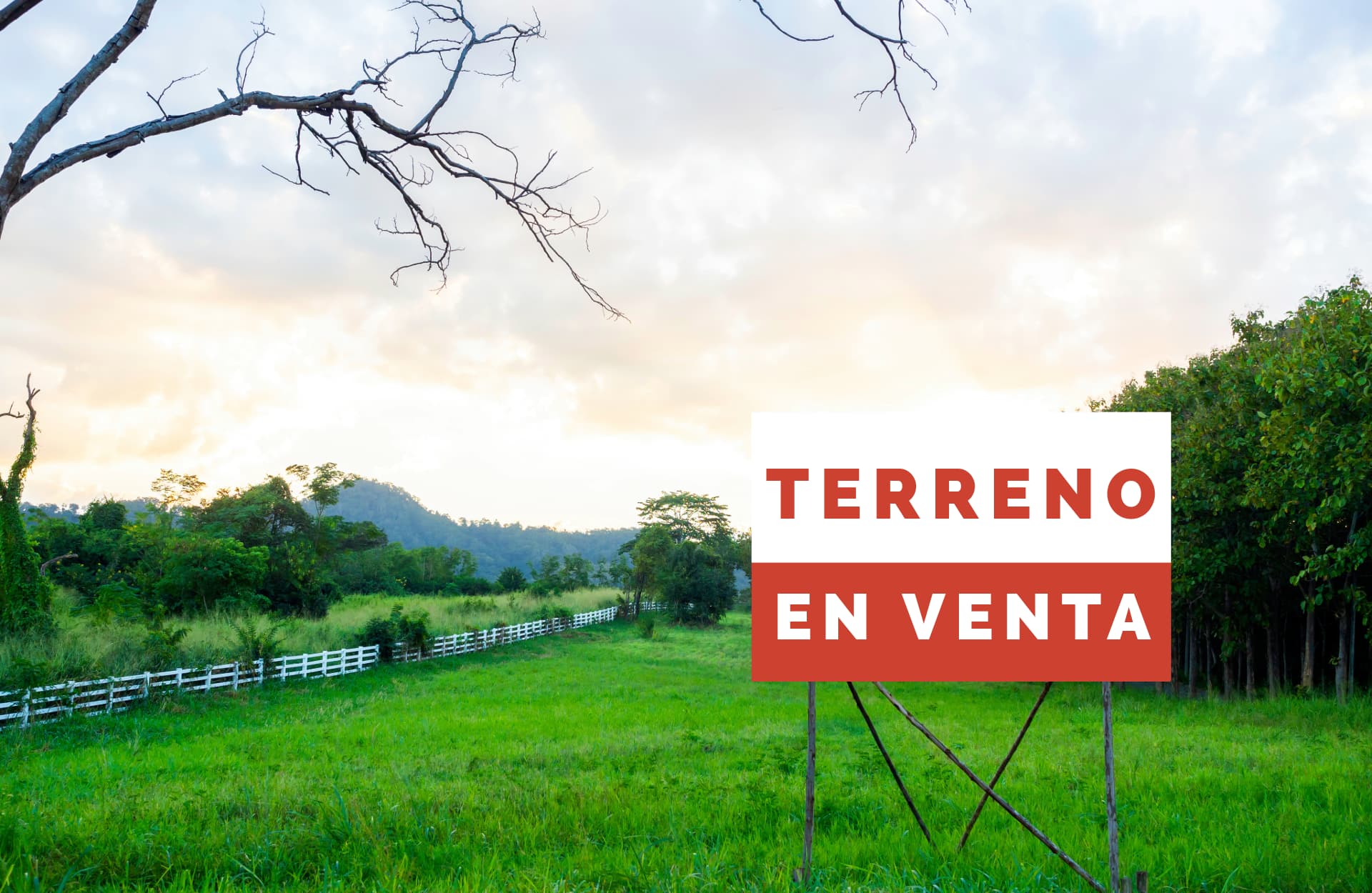 5 Beneficios de los Letreros de Jardín para la Marca en Lima – AvisosCorp